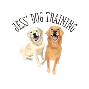 Jess' Dog Training | Bournemouth & Poole, Dorset