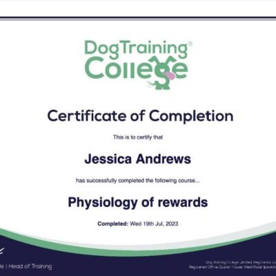 Jess' Dog Training | Bournemouth & Poole, Dorset
