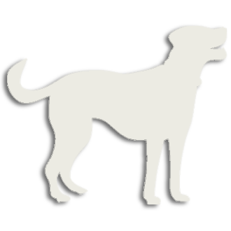Jess' Dog Training | Bournemouth & Poole, Dorset